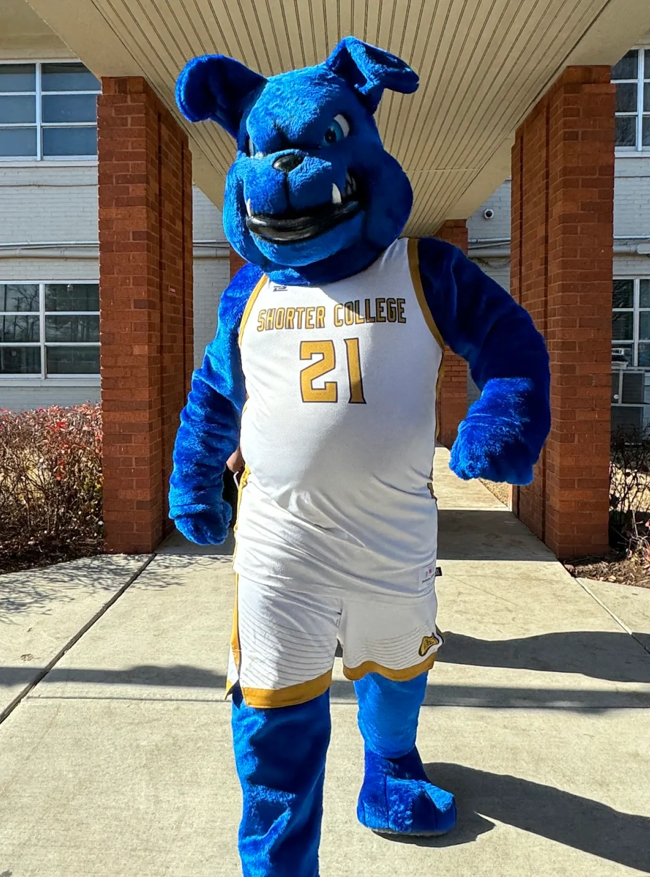 Home | Shorter College